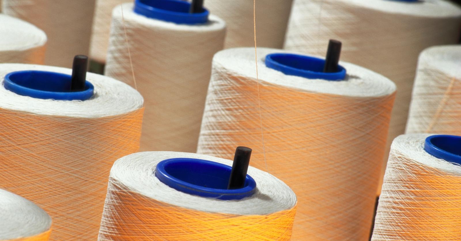 Na kweekvlees ook kweekmode? Amerikaanse startup kweekt katoen in ...