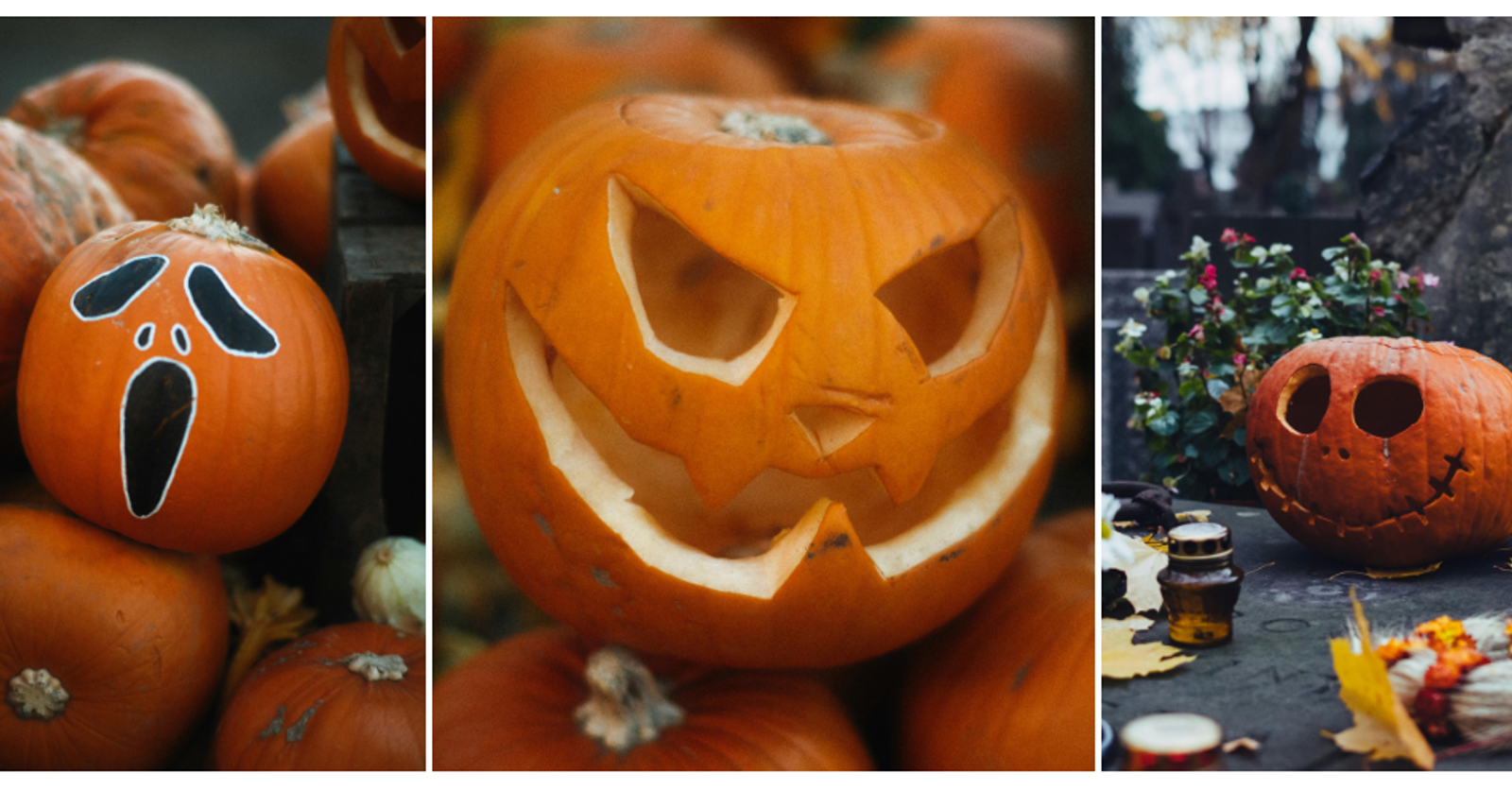 8 accessoires pour une citrouille d'Halloween réussie