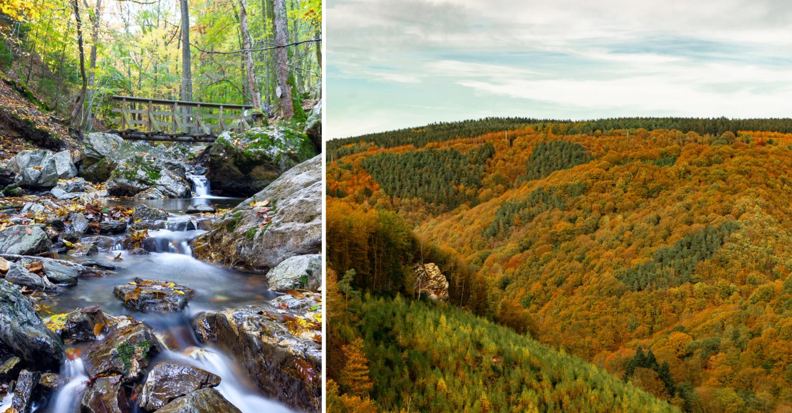 Ninglinspo: deux balades pour découvrir cette vallée féérique