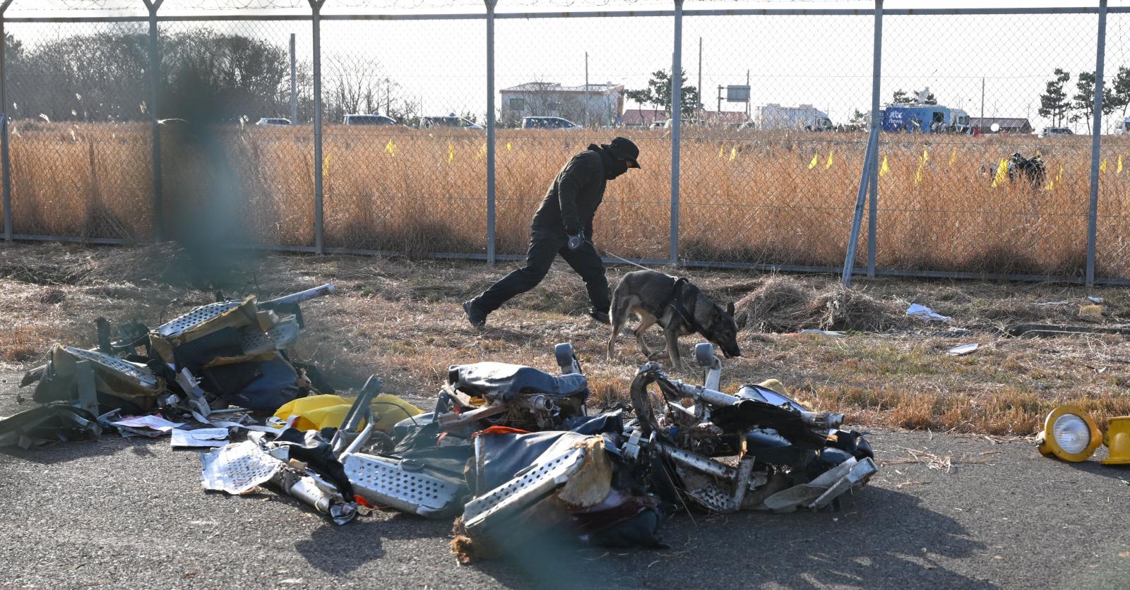 Crash en Corée du Sud: le Boeing 737-800 sous la loupe
