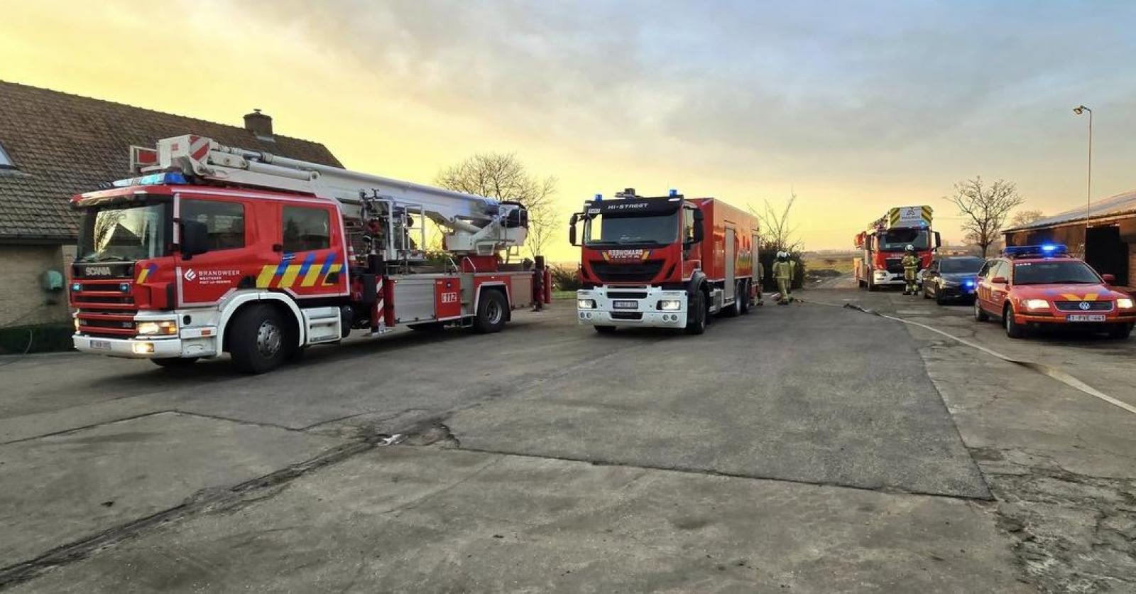 Korte stalbrand vlug geblust maar tientallen biggen overleven vuur niet ...