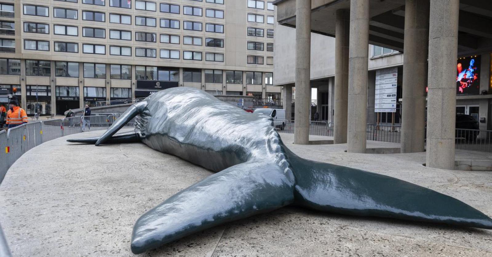 Walvis van 16 meter aan Kursaal Oostende geplaatst voor project van Wim ...
