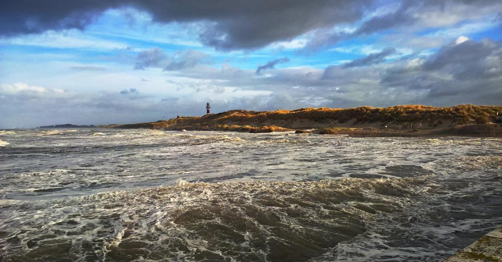 Fool’s spring - KW.be