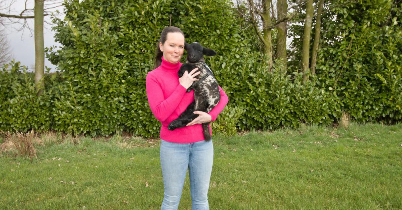 “Eén lam dood geboren, het andere op sterven na dood”: Gevolgen ...