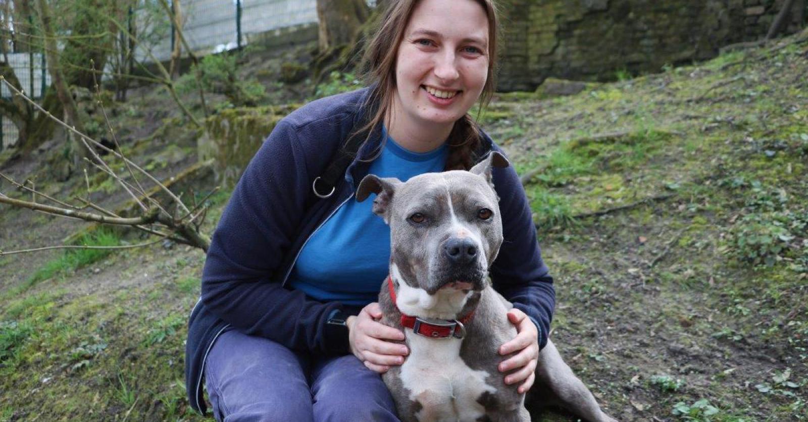 Beetsje Zoekt Baasje: American Stafford Iris houdt van aandacht en ...
