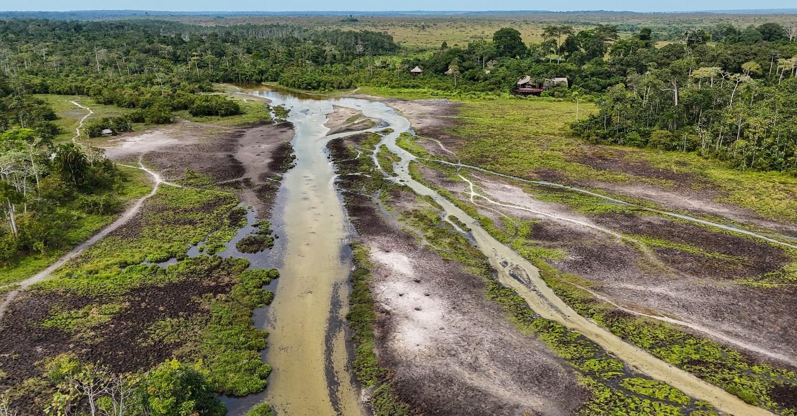 "Brazza la Verte": voyage au Congo-Brazzaville, merveille naturelle et ...