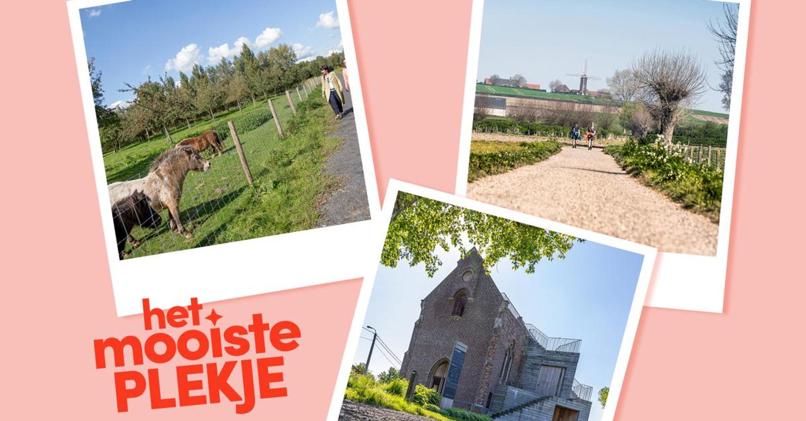 Wat is het mooiste plekje in Dentergem? Stem hier op jouw favoriet - KW.be