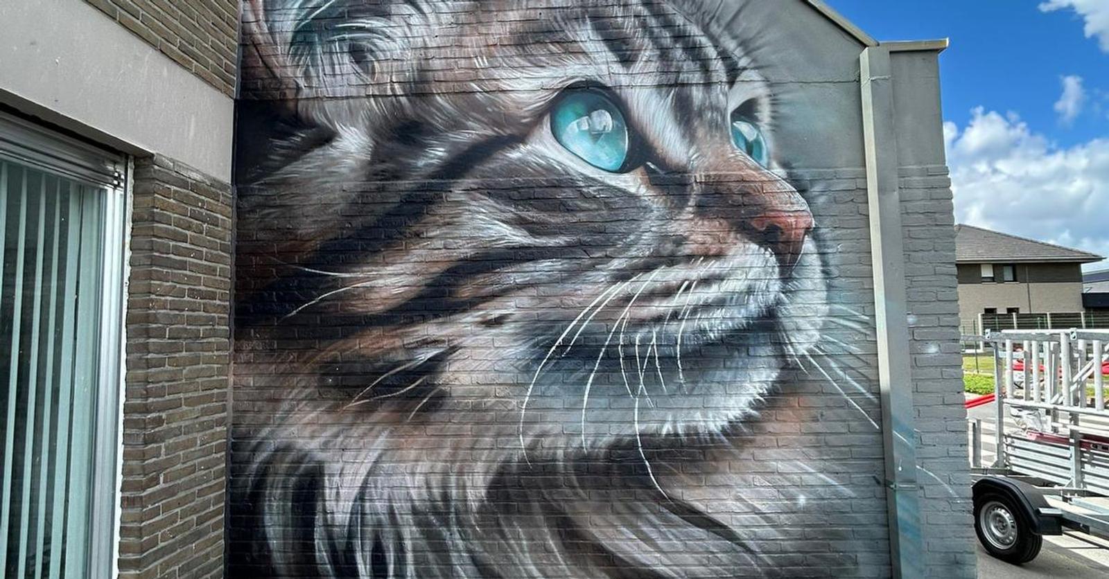Djoels wint met mural in Egem award voor beste graffitikunstwerk van de ...