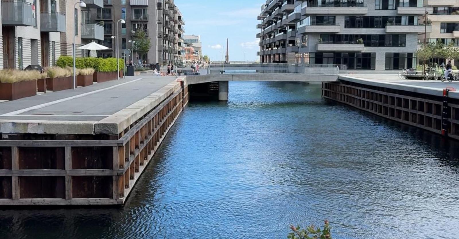 Onze interieurexperte Kelly Claessens laat zich inspireren door het ...