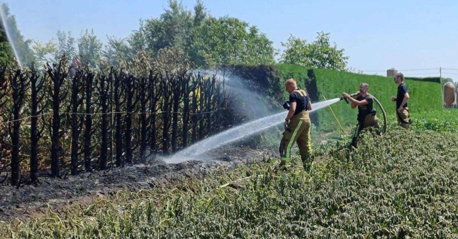 Haag vat vuur door kolen van barbecue: woning deelt in de brokken - KW.be