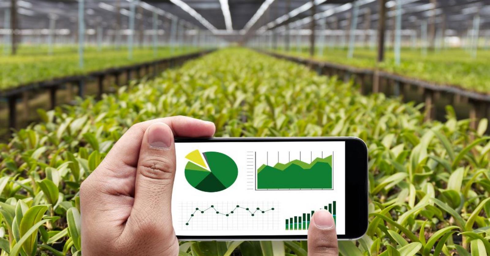 Wat is nu uw mening over Corteva?