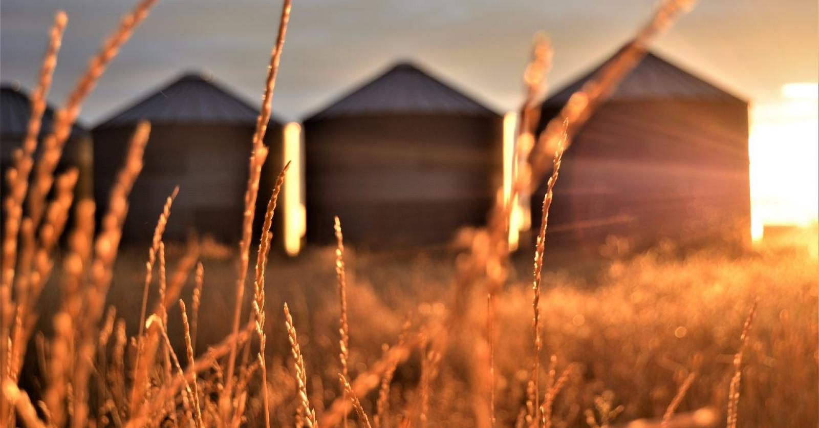 iShares Diversified Commodity Swap ETF | Grondstoffen blijven kansrijk