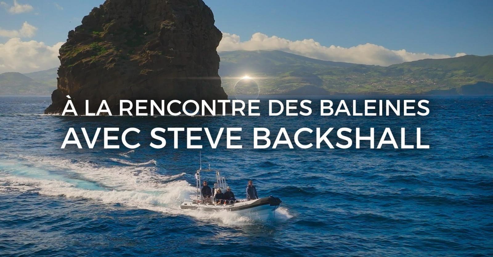 A la rencontre des baleines avec Steve Backshall - Télépro