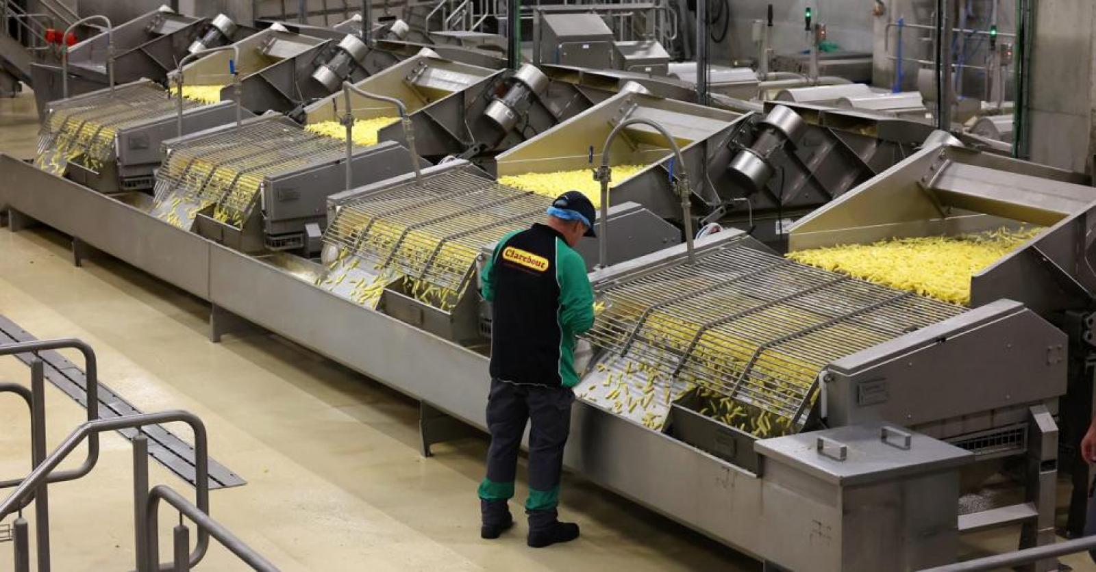 Simplot avale Clarebout : création d'un nouveau numéro un mondial de la ...