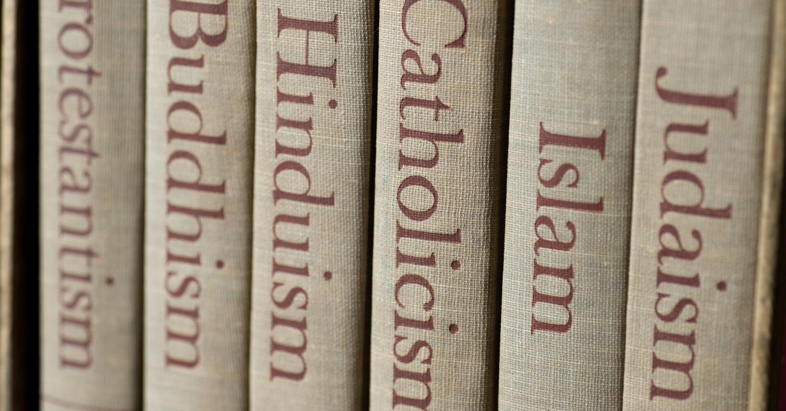 Le chemin de saint Antoine - Télépro