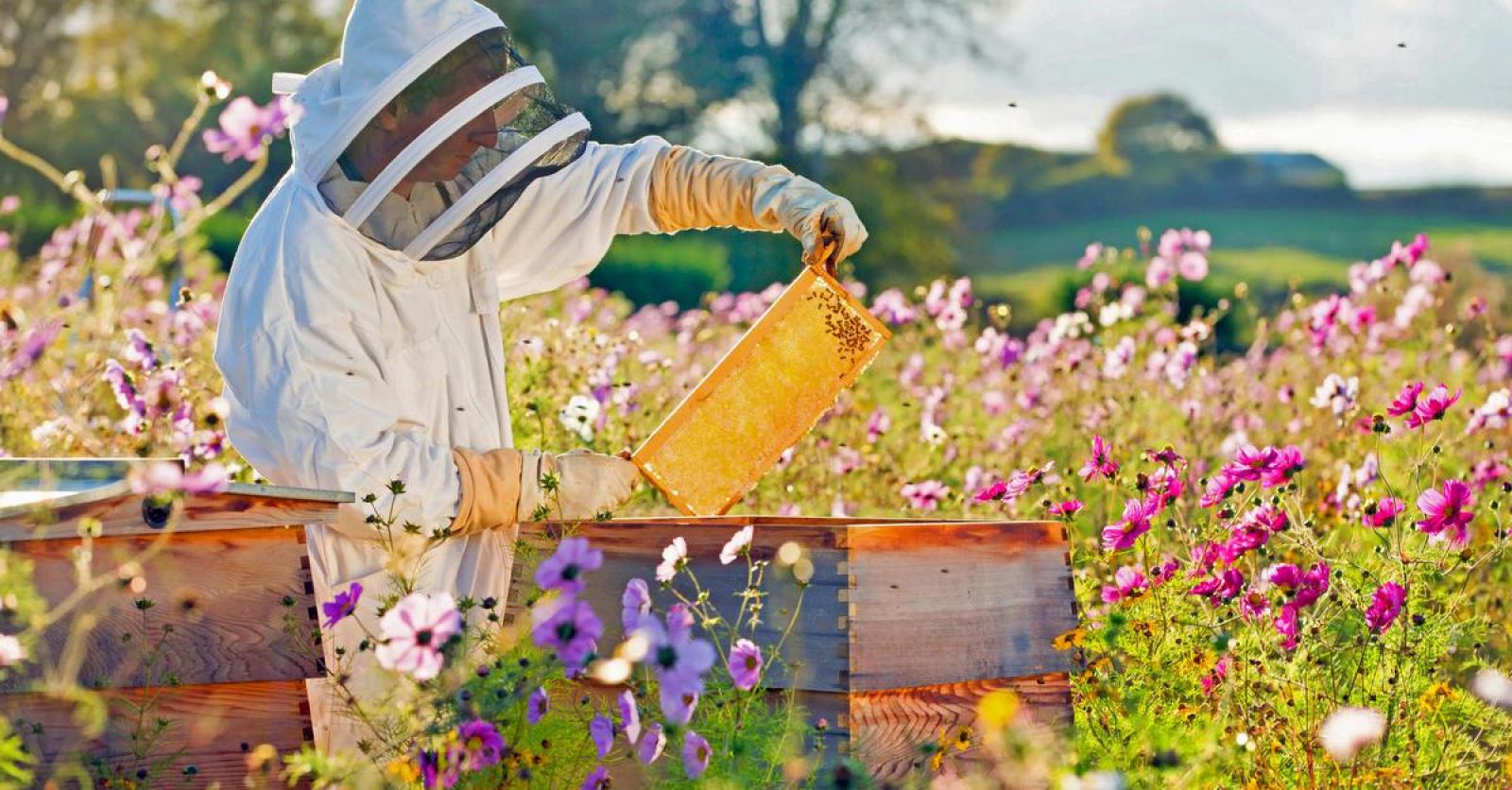 Sweetbodyjay twitter undoubtedly on the upper range