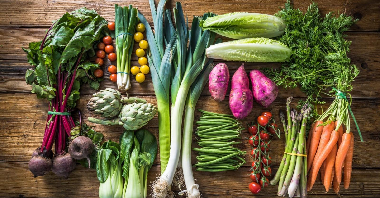 Duell der Gartenprofis - Mein grünes Paradies - Télépro