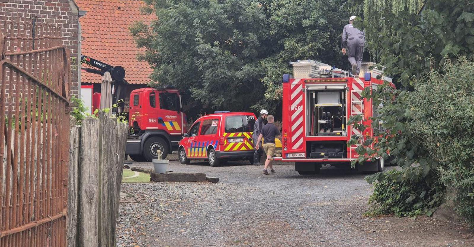 Brandweer en dierenreddingsteam Westhoek redden paard uit put - KW.be