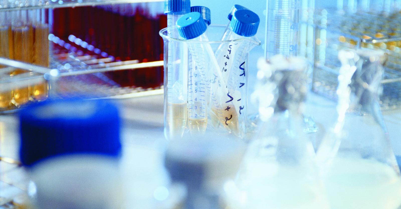 Merck is prima in balans