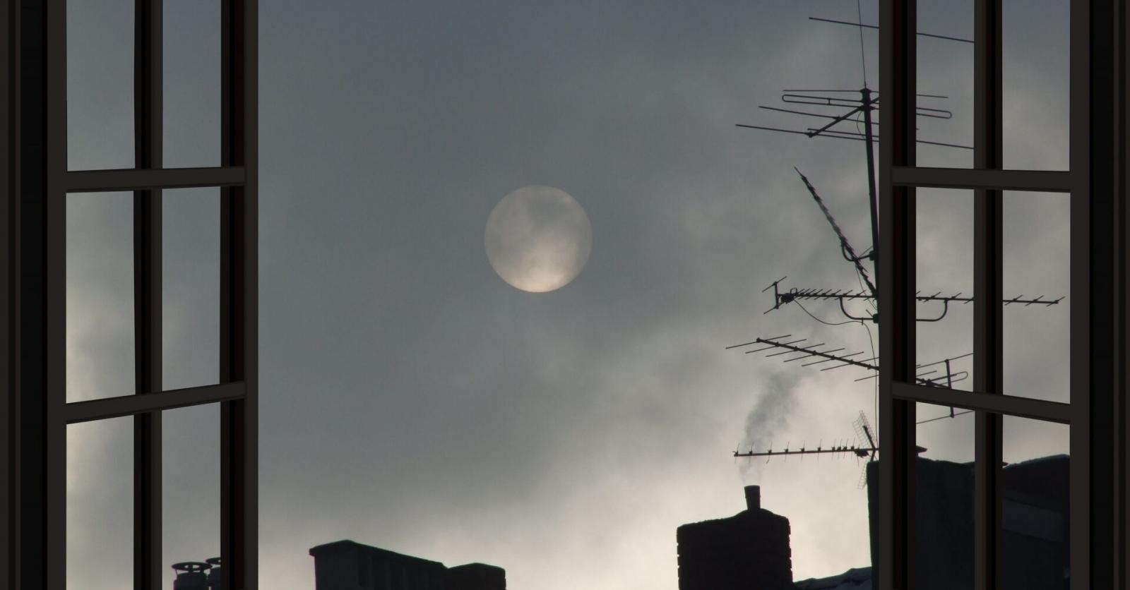 Programmes de la nuit - Télépro