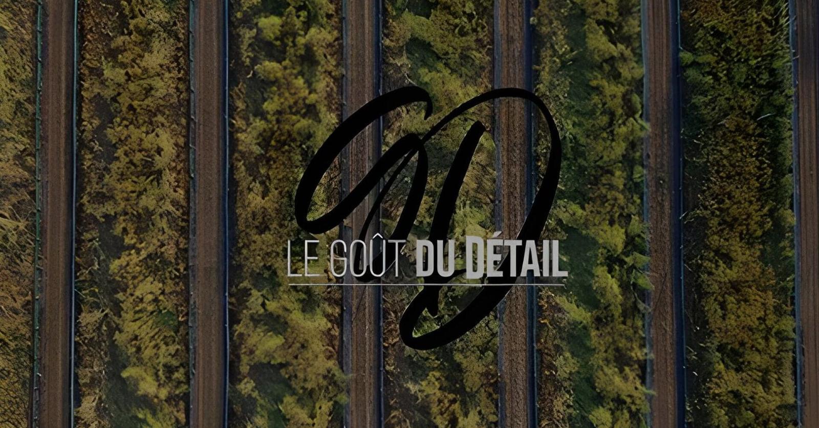 Le goût du détail - Télépro