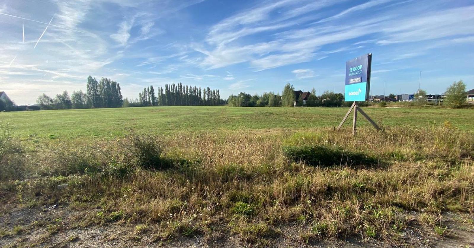 Vroegere Aviflora-site in Ingelmunster verkocht, maar aan wie? - KW.be