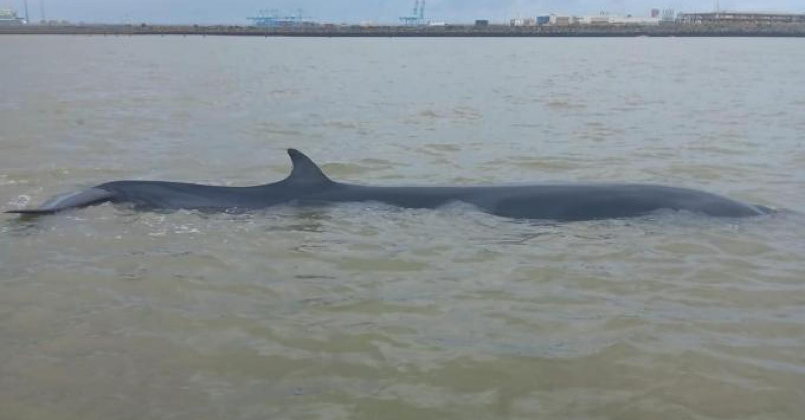 641149505 still, possibly I should have .It varies from