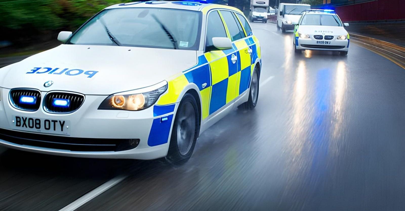 All New Traffic Cops - Télépro