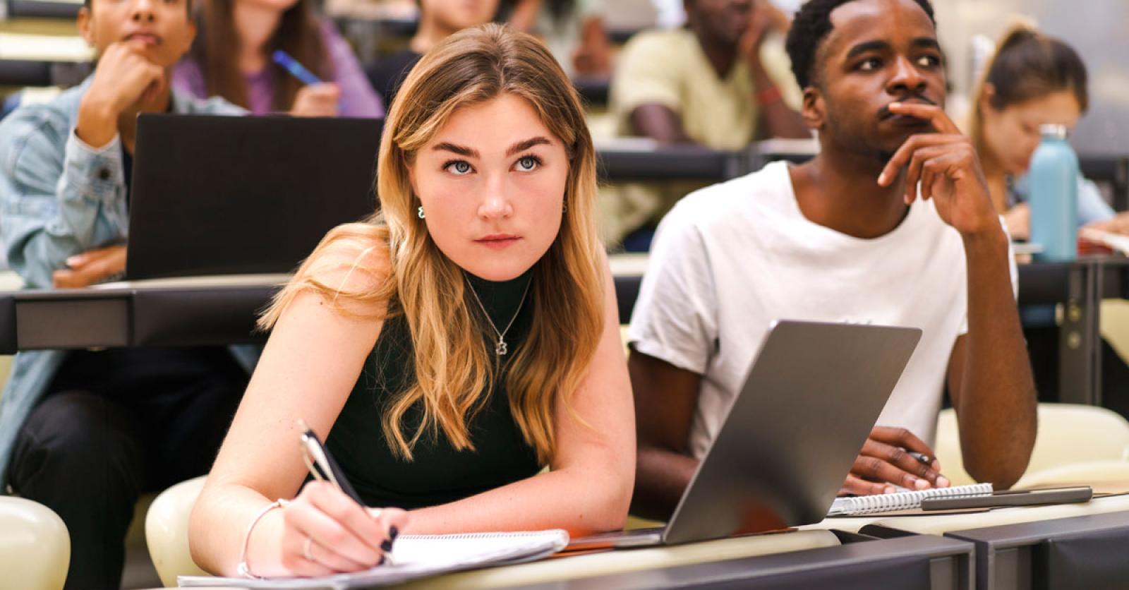 'Nederlands in de verdrukking op Vlaamse universiteiten? You must be ...