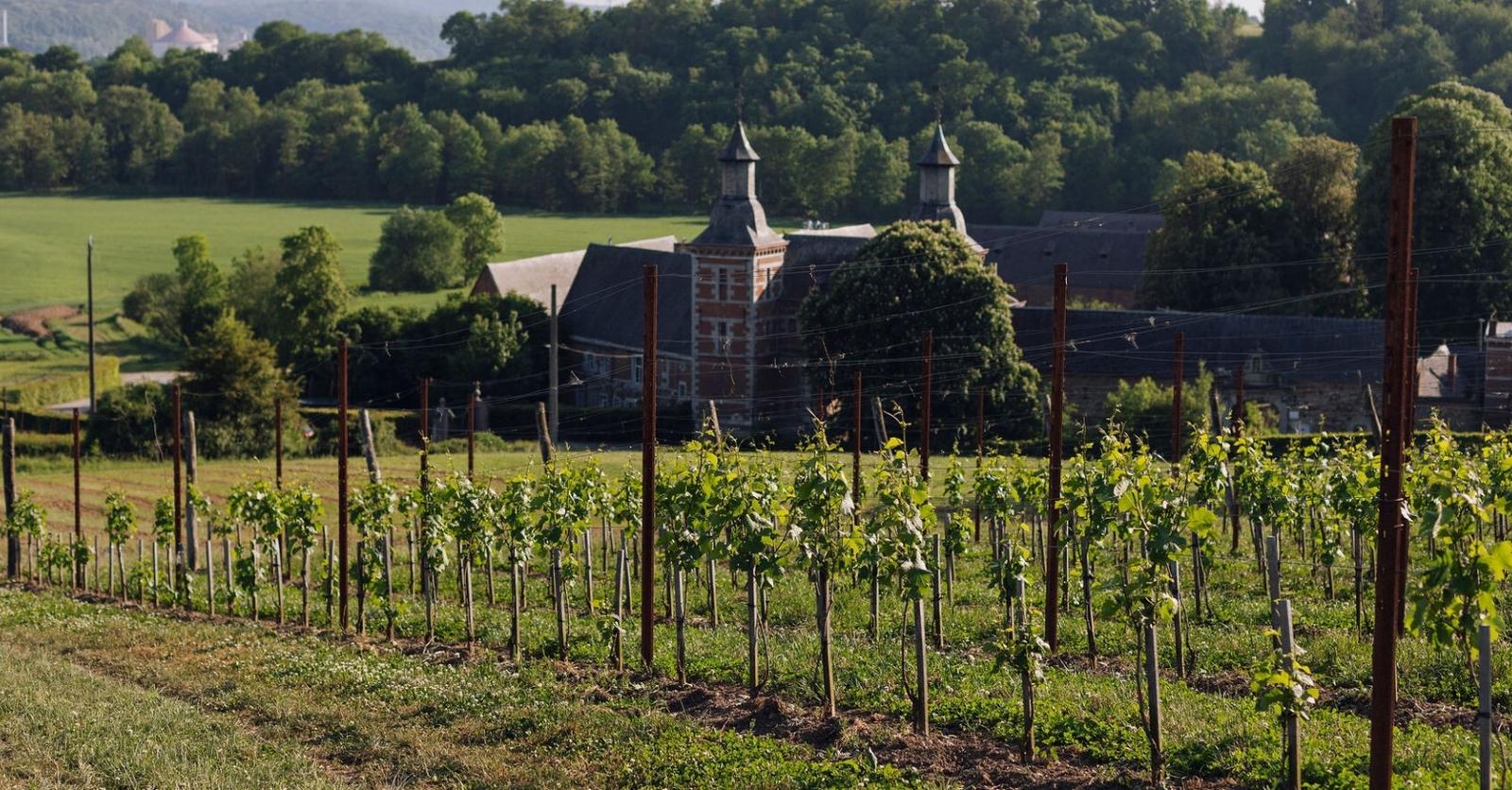 Le domaine de Naxhelet devient Terres du Val: "On veut devenir la ...