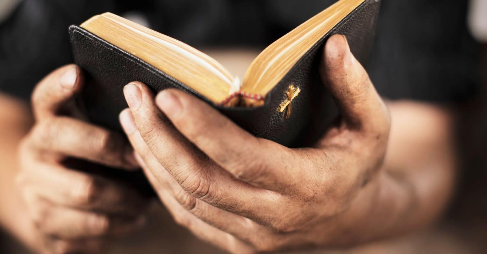 Medina en tve - Télépro