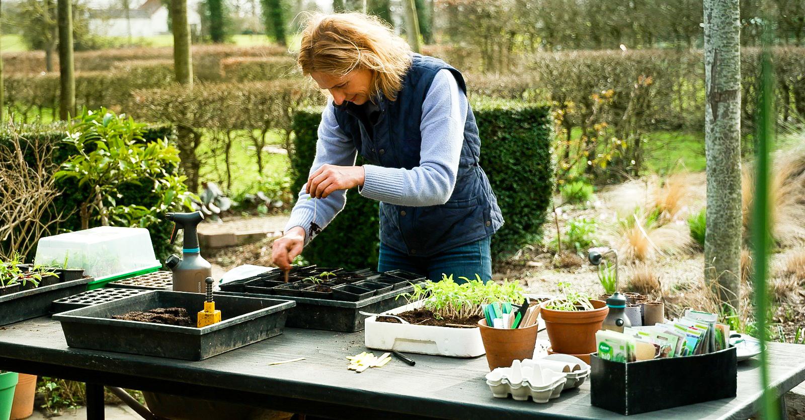 Groenten voorzaaien: stap voor stap uitgelegd - Libelle