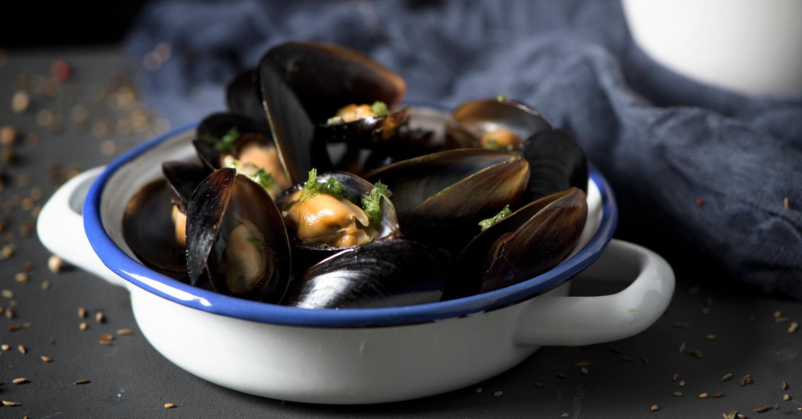 Kom uit je schelp: 65 recepten met mosselen