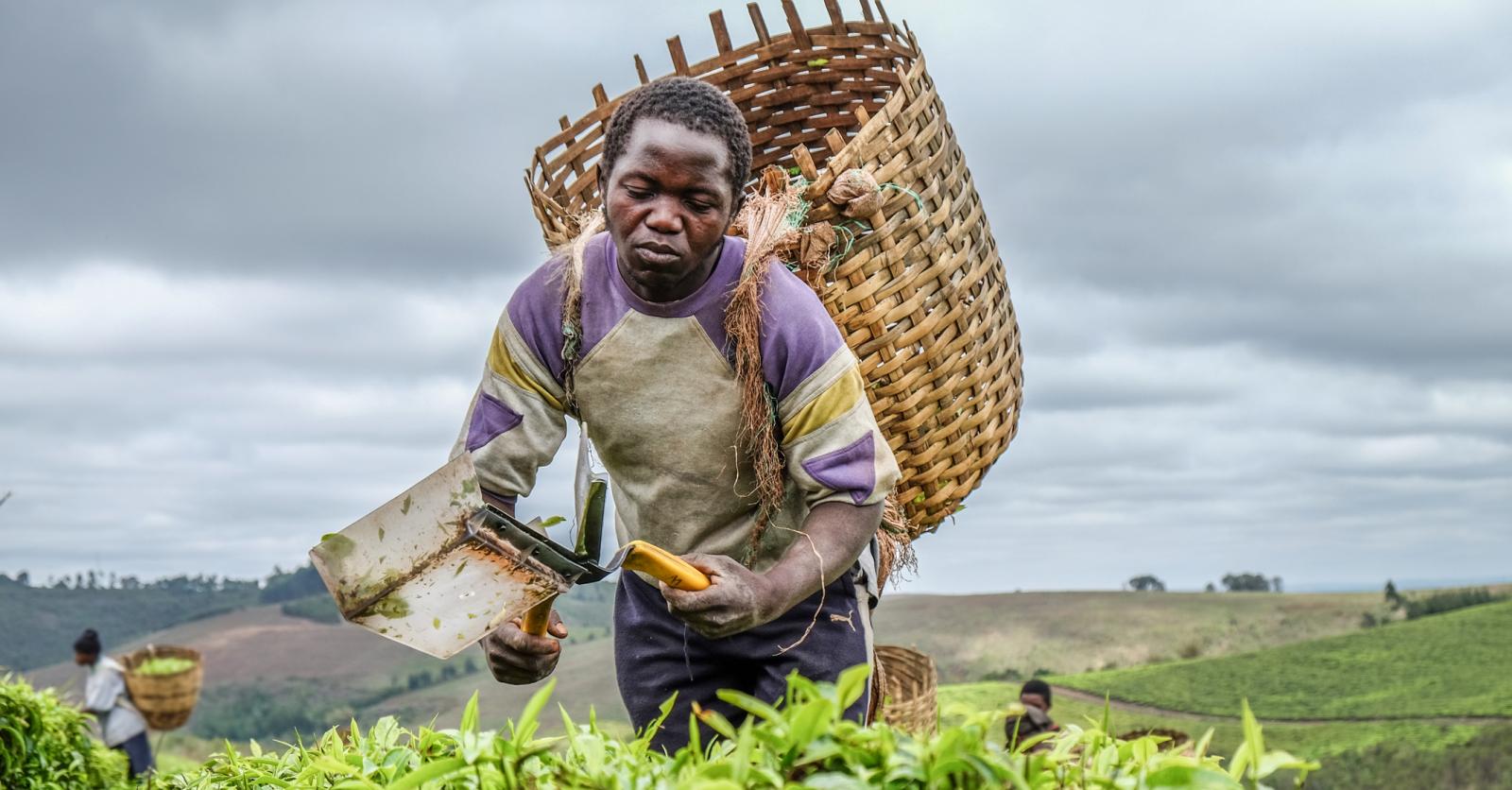 Duurzamer boeren ook heilzaam voor de boer
