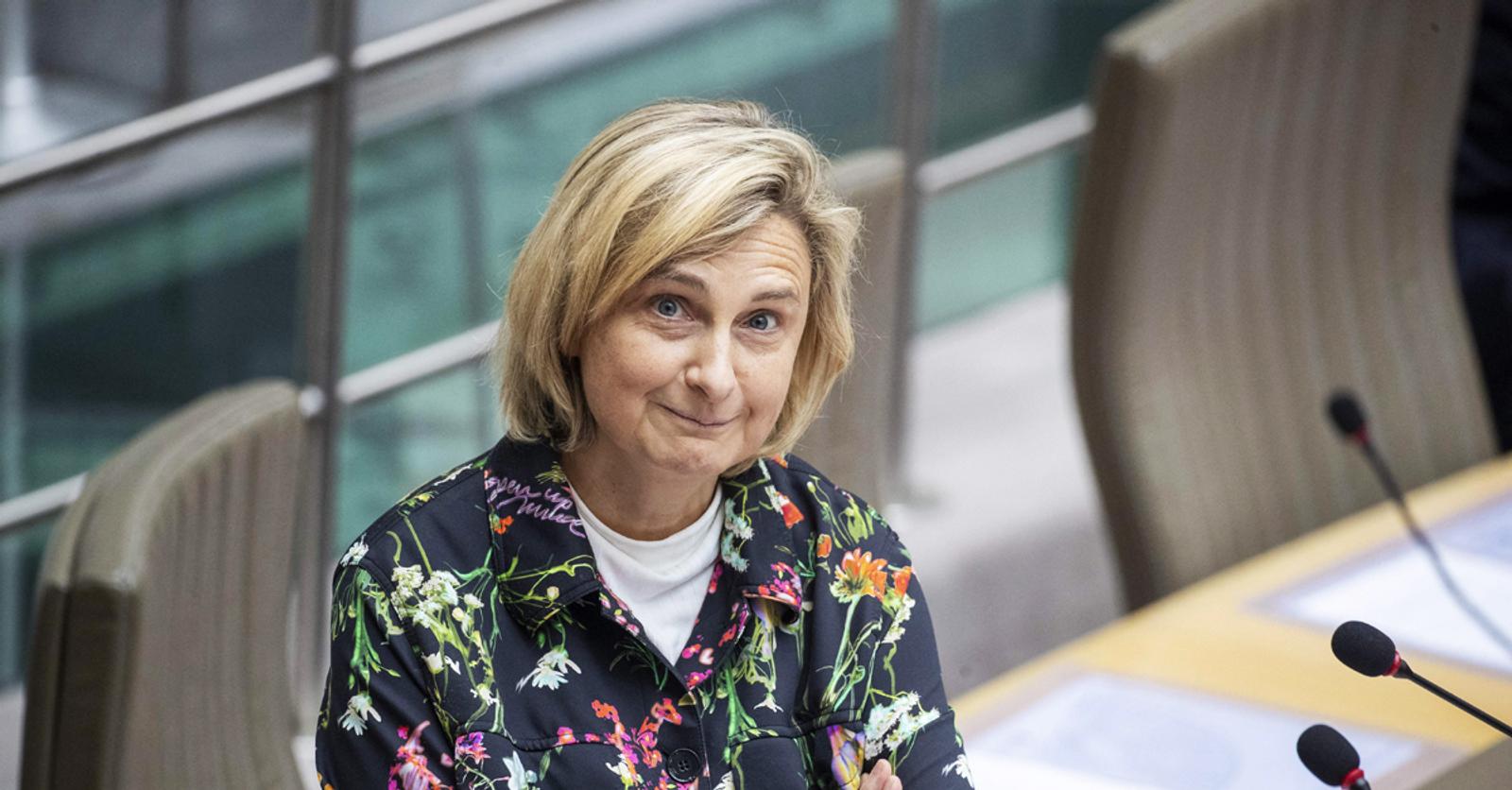 De eerste vakantiejob van Hilde Crevits