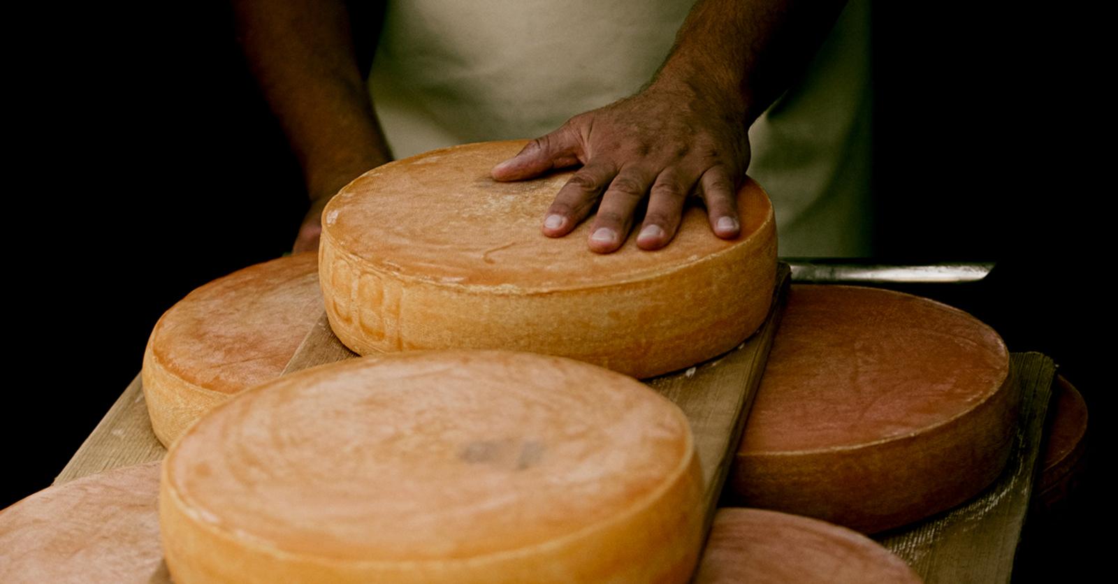 Wie maakt de beste kaas? Achter de schermen bij De Swiss Cheese awards