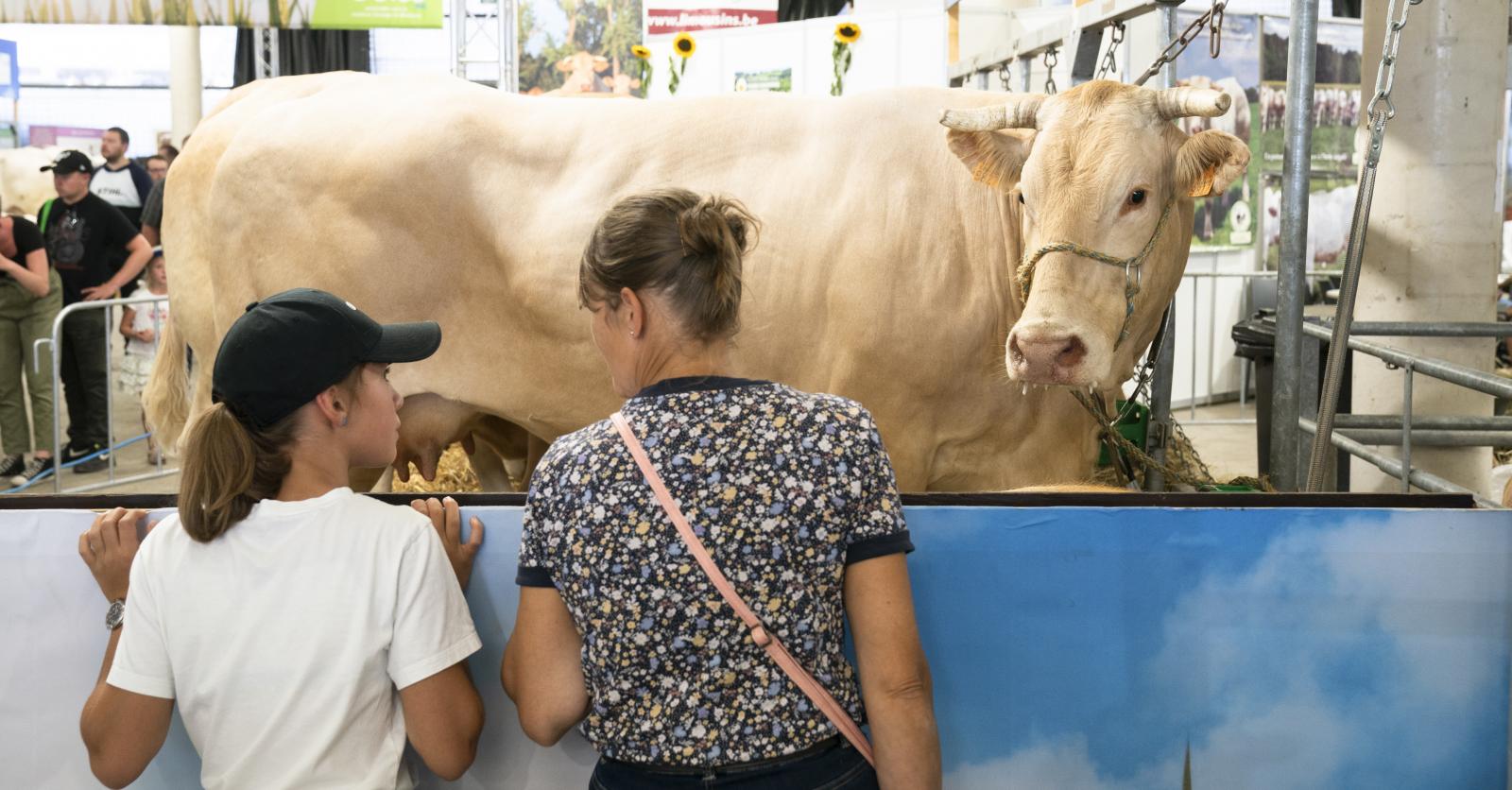La Foire de Libramont fera son retour du 28 au 31 juillet
