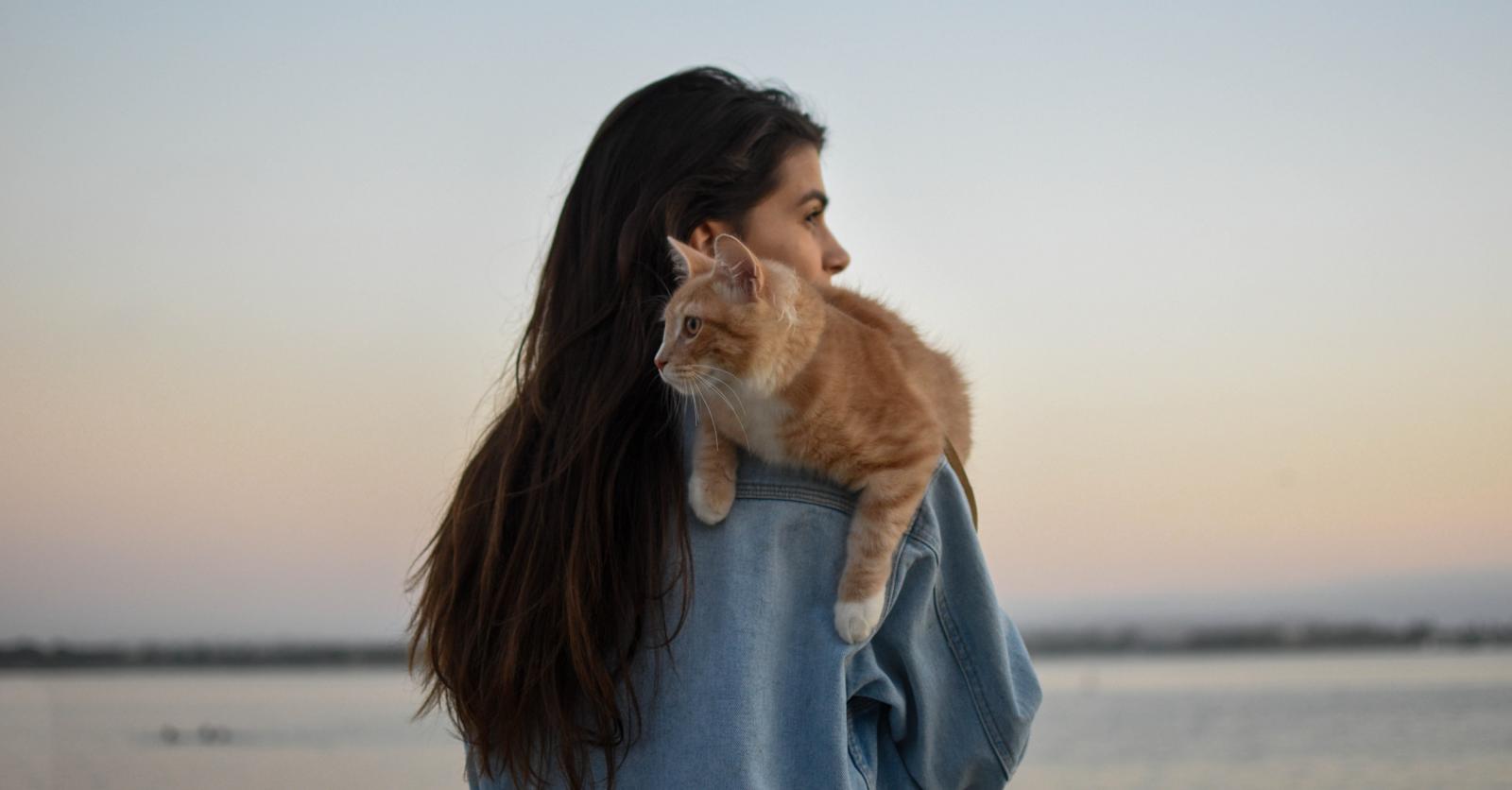 Dít is hoe je kat jou herkent