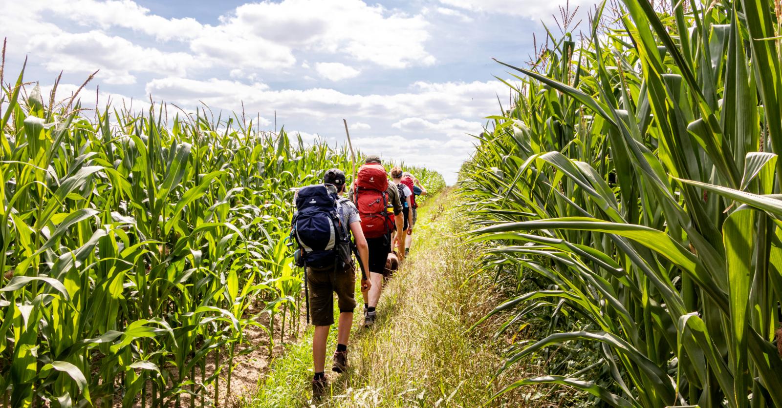 5 wondermooie GR-routes vlak bij huis - Libelle