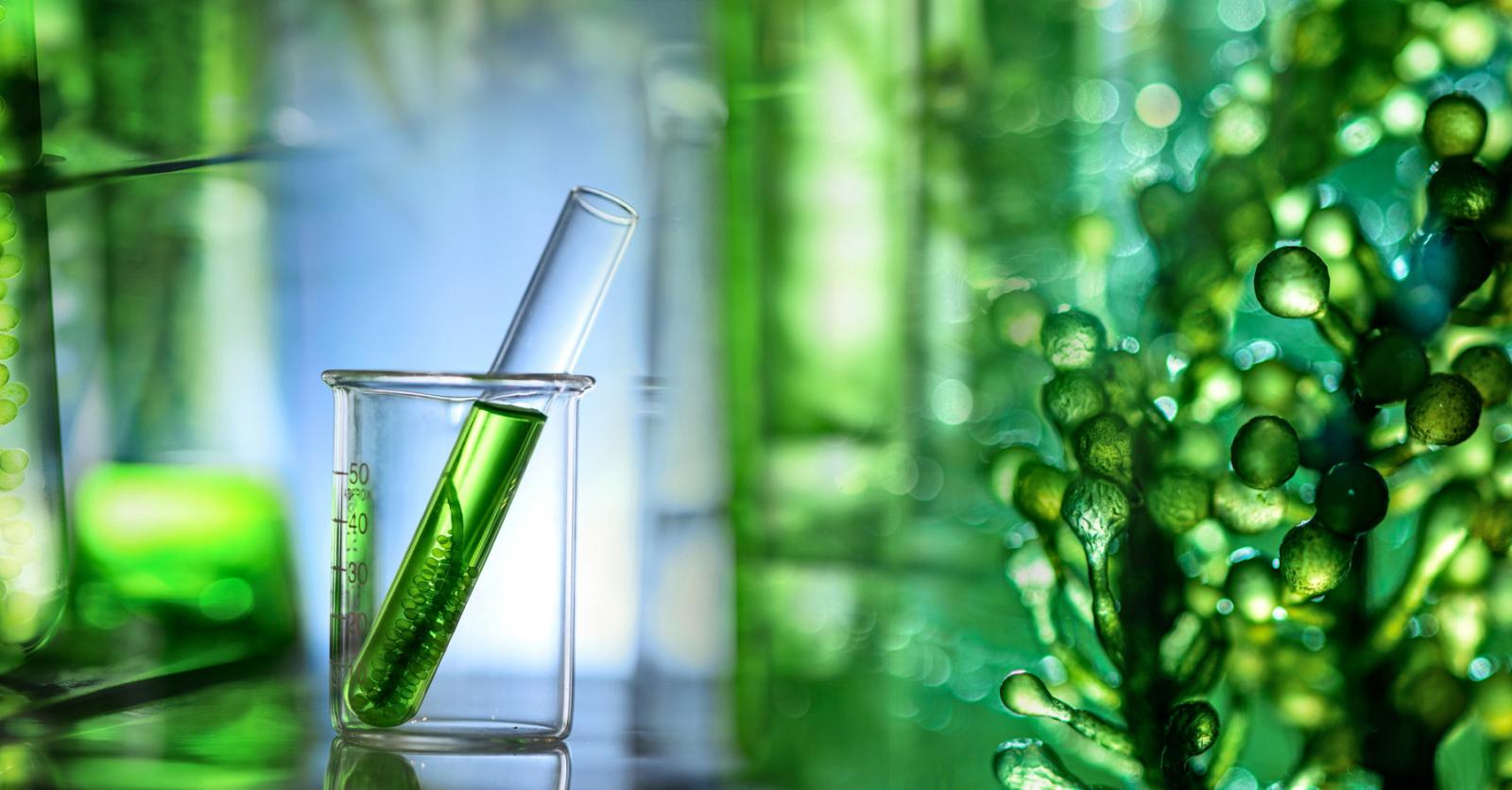 Newtree Impact lance son augmentation de capital