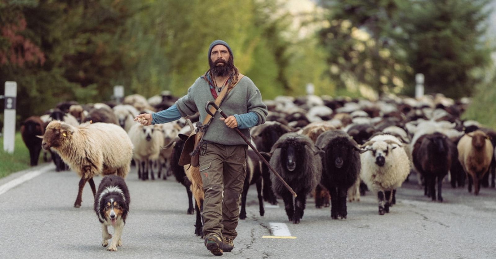 «Bergers en famille» : là-haut, sur la montagne