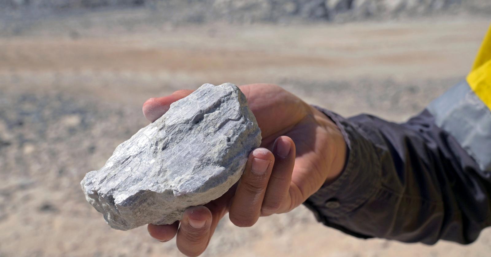 Mais que diable la KUL est-elle allée faire dans la galère Not In My ...