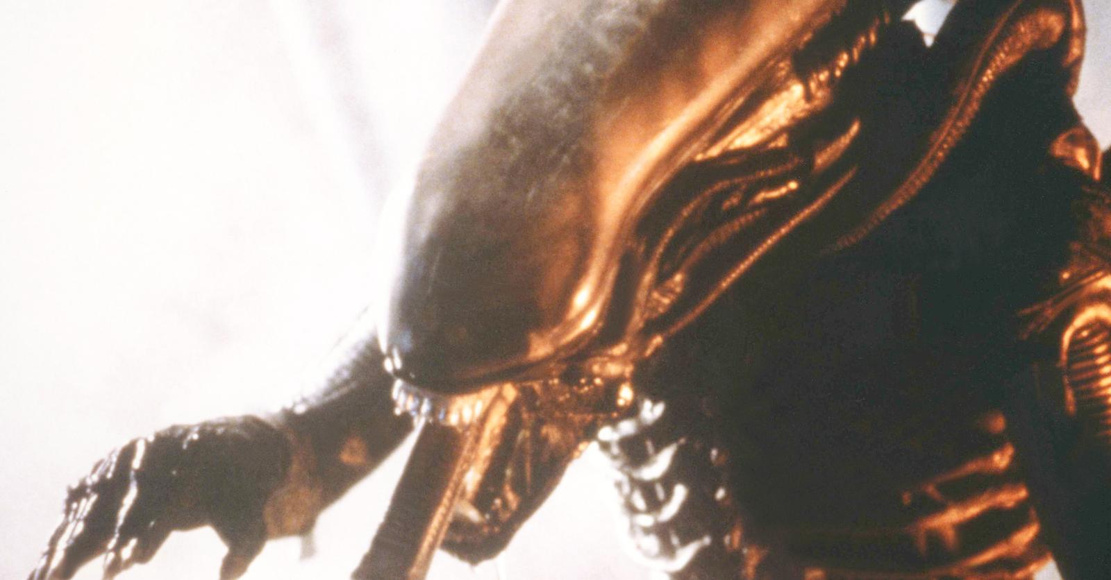 «Alien» : l’horreur ne faiblit pas