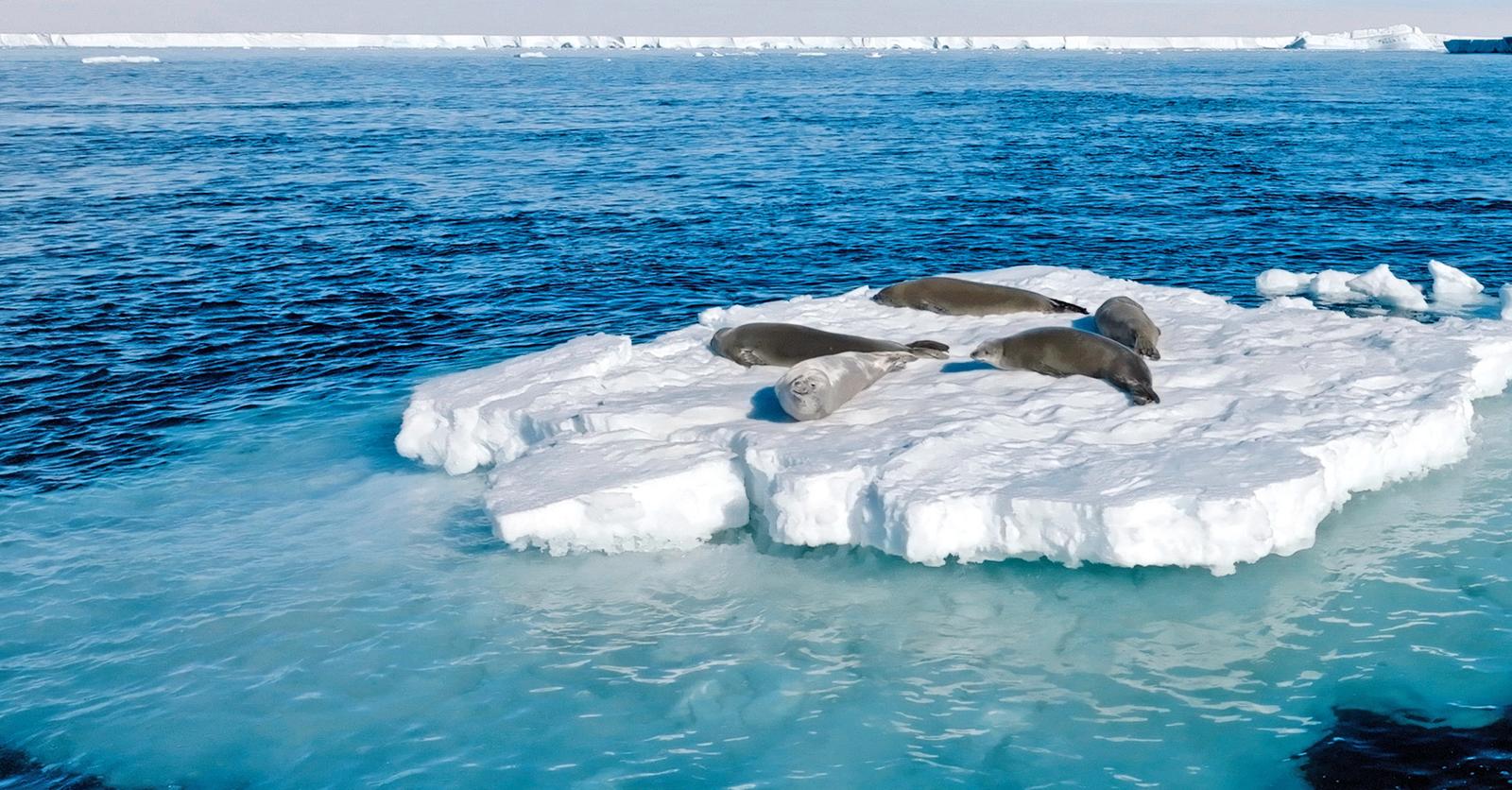 Alain Hubert, au cœur d’un nouveau documentaire sur le climat: «Nous ...