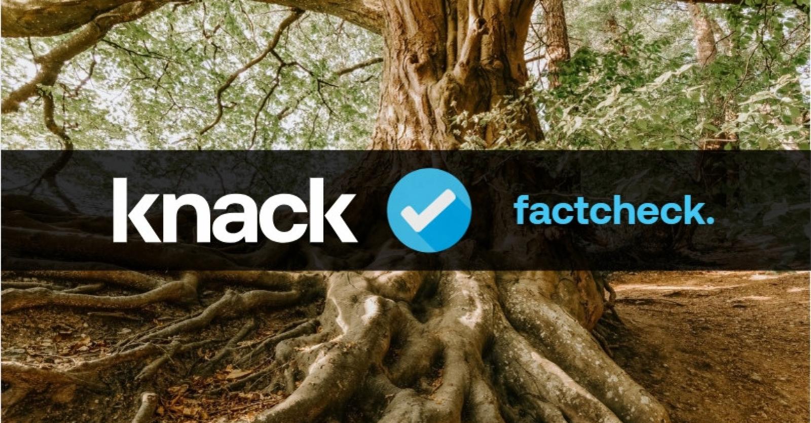 Factcheck: nee, mannelijke bomen zijn niet de ‘voornaamste reden’ voor ...