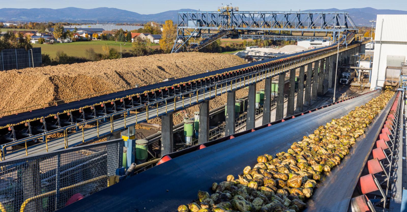 Beleggingstip van de week: Südzucker - Trends