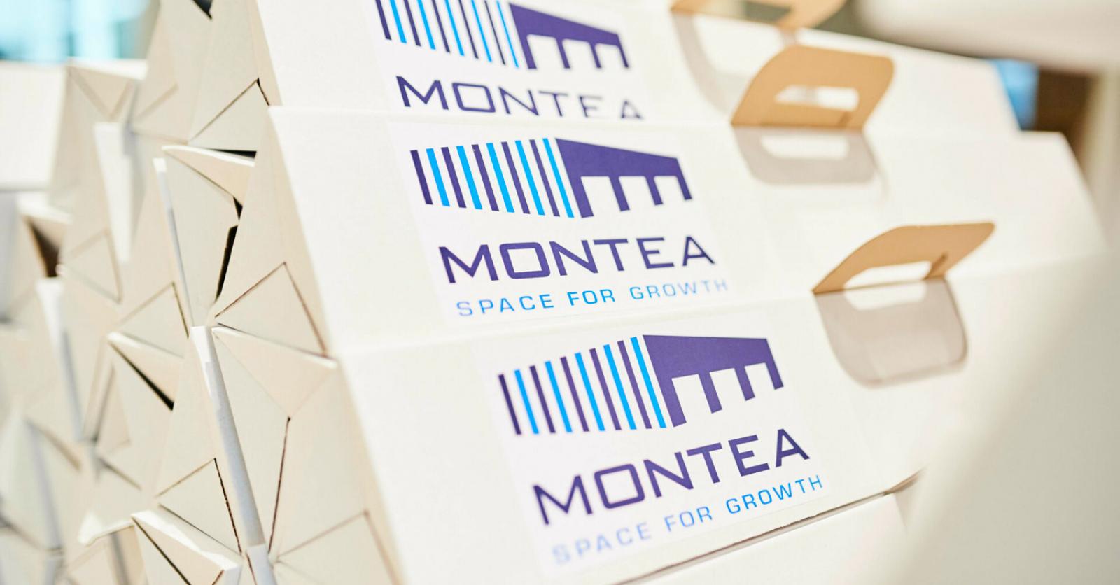 Waarom Montea een favoriet is voor de tweede jaarhelft (Trends)
