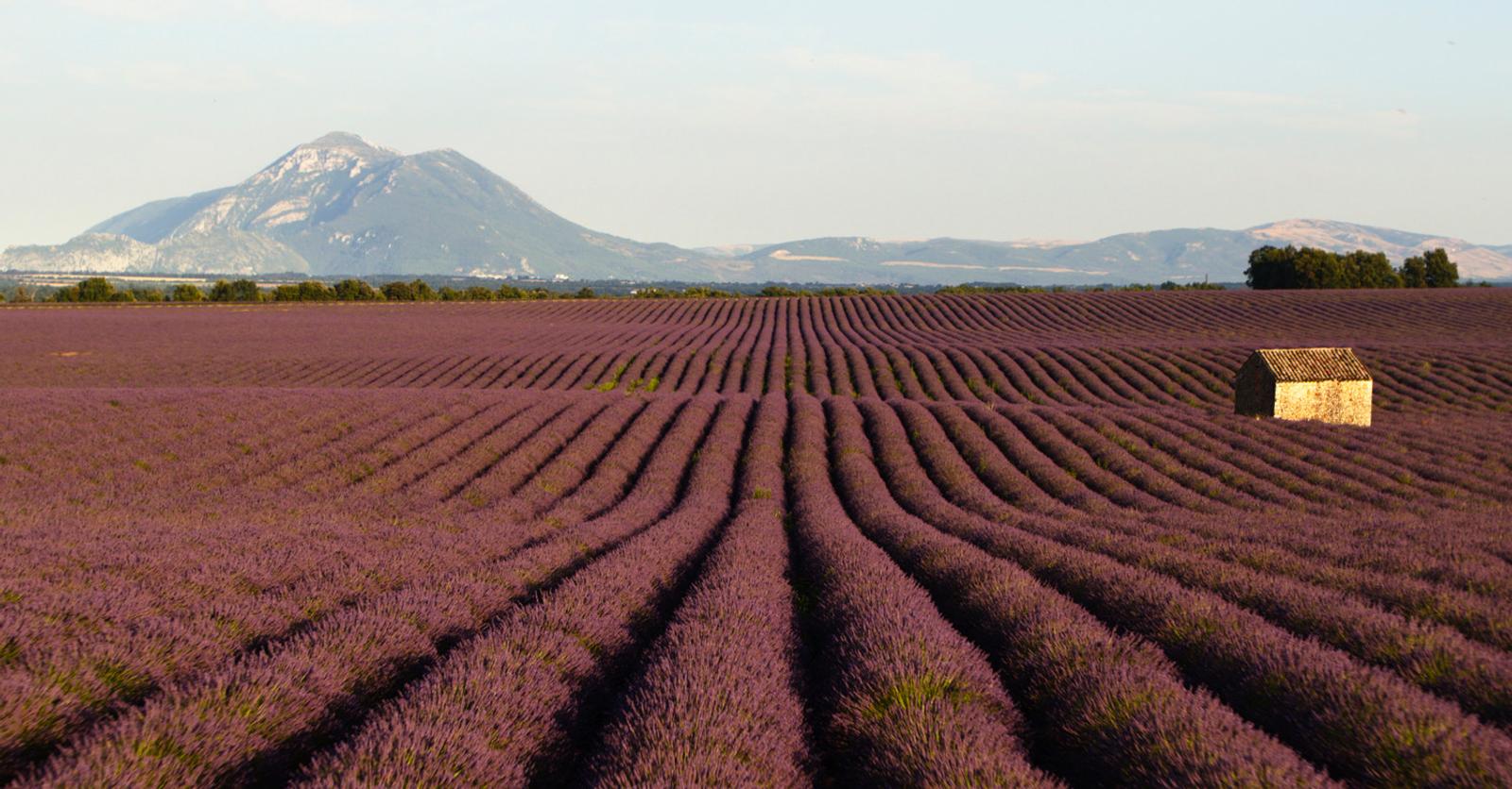 À quoi ressemblait la Provence avant l’humanité ? Un documentaire de ...
