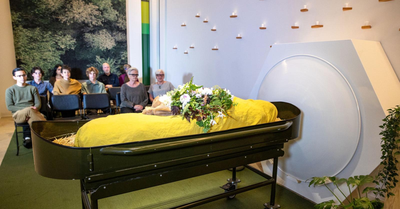 Humusation : mort et composté