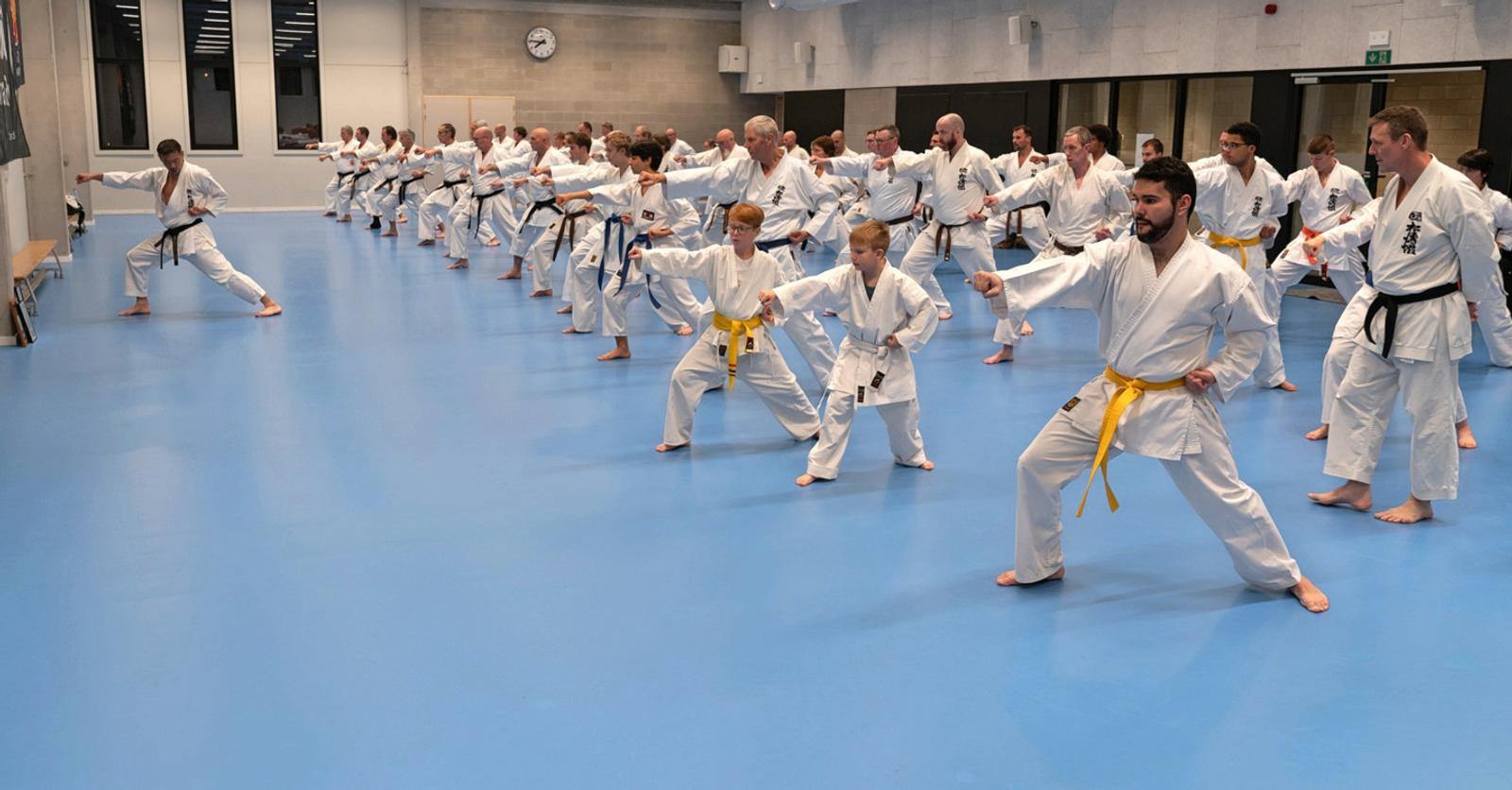 Na twee jaar opnieuw topstage voor karateclub Kasajima Ryu: “Hoogtepunt ...